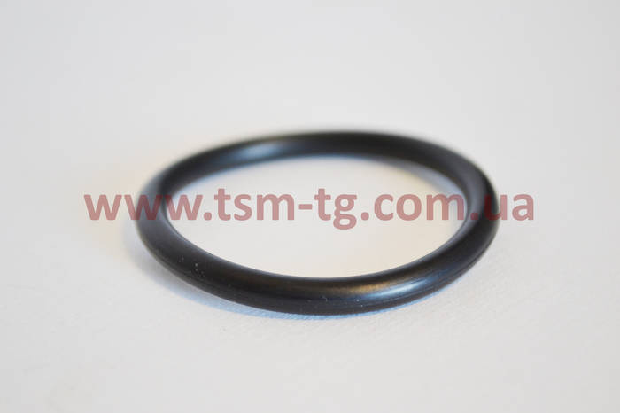 01319139 Кільце ущільнювальне паливного насоса на двигун Дойц, DEUTZ ...