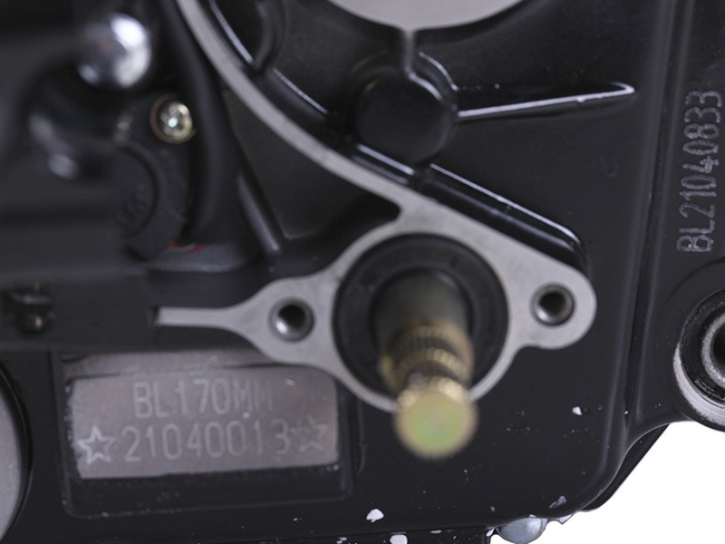 Купити Двигун CG300 ТАТА на мотоцикл, L170 ММ (з водяним охолодженням ...