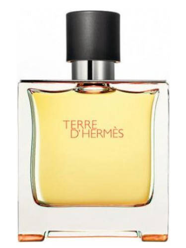 Hermes Terre D'Hermes Туалетная вода 100 ml Хермес Тьере Де Хермес ...