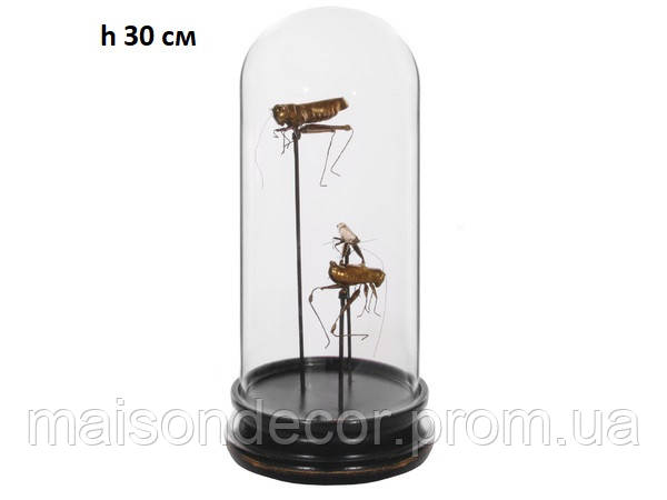 Колба декоративна скляна Shishi З трьома золотистими кониками прозора H 30 см Id 1481957675