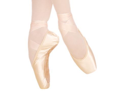 Пуанти Grishko PRO-FLEX (ID#1461516311), ціна: 1800 ₴, купити на Prom.ua