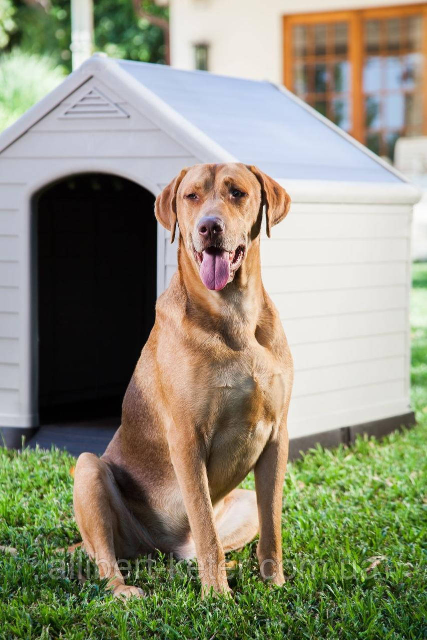 Собача будка Keter Dog House ( Keter Pet, Curver Pet ), ціна - Prom.ua ...