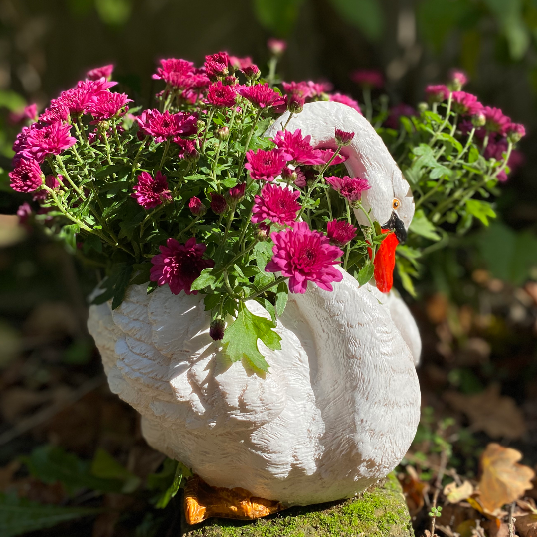 Садовая Фигура Лебедь Кашпо — Купить Недорого на Bigl.ua (1496835857)