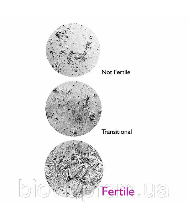 Прибор для определения овуляции (Fertile-Focus 1 Personal Ovulation ...