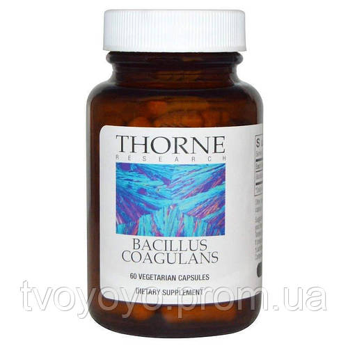 Пробиотики Bacillus Coagulans Thorne Research 60 капсул (24290 ...