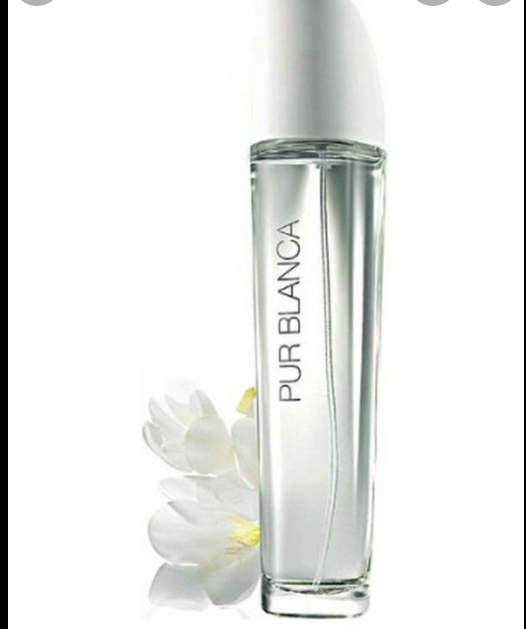 Купить Avon Pur Blanca Туалетная вода 50мл, цена 189 грн — Prom.ua (ID ...