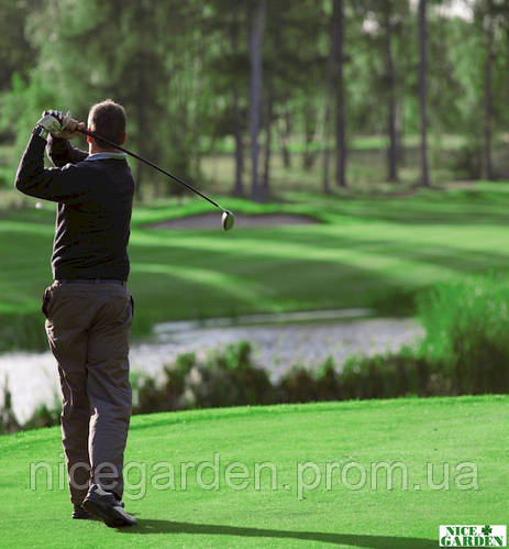 Газонная трава для гольф полей Гольфмастер / Golfmaster DLF Trifolium 1 кг (на развес) (ID ...