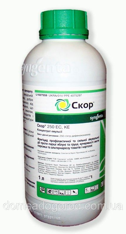 Фунгицид СКОР 250 EC к.е. Сингента | Syngenta 1 л (ID#1503904872), цена ...