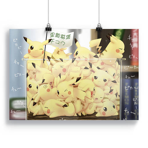Купити Плакат Покемон | Pokemon 13, ціна 30 ₴ - Prom.ua (ID# 1501758010)