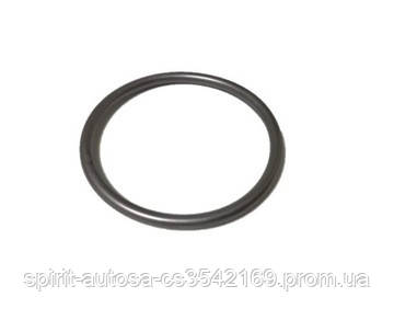 Кольцо уплотнительное термостата VW/Audi/Skoda/Seat (2002-) (06B121119B ...