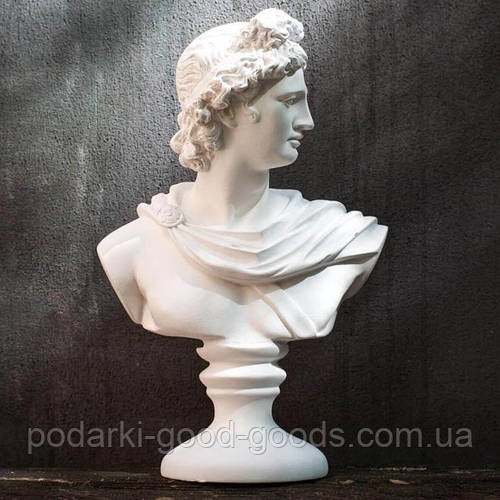Купити Бюст Аполлона білий з гіпсу 31 см, ціна 1800 ₴ - Prom.ua (ID ...