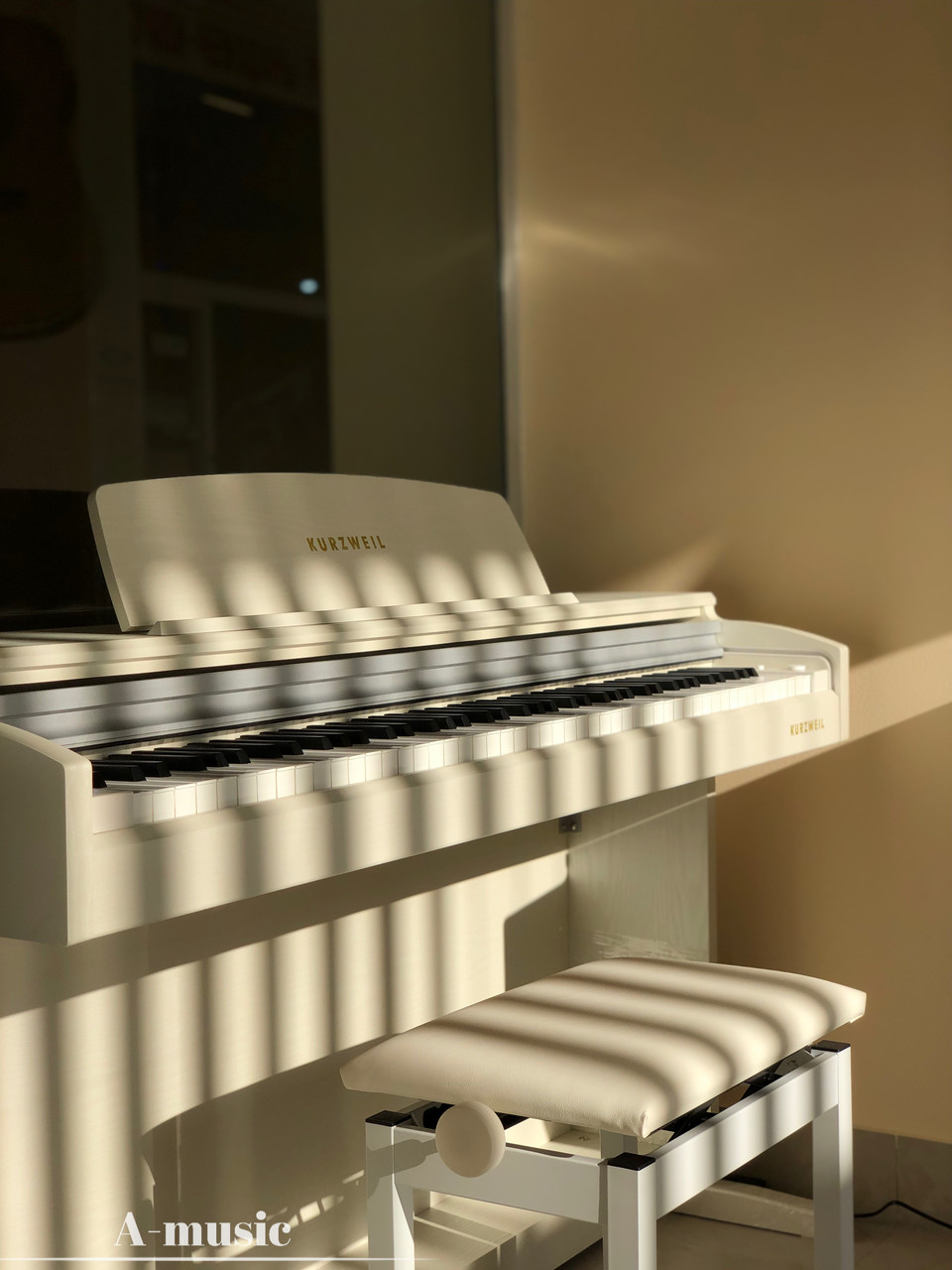 Цифровое Пианино Kurzweil M210 Wh — Купить Недорого на Bigl.ua (1379474800)