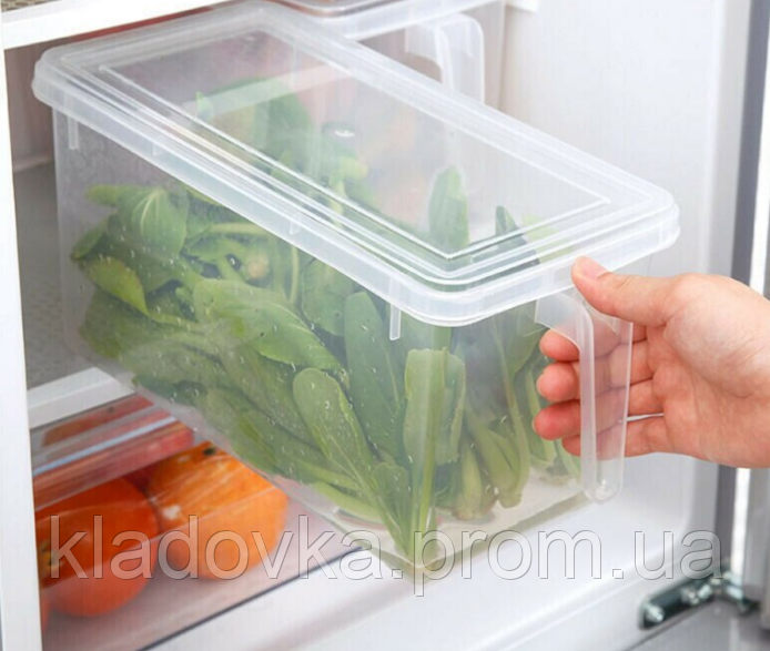 Контейнер для Хранения Пищевых Продуктов Прозрачный с Крышкой 31*15*13 ...