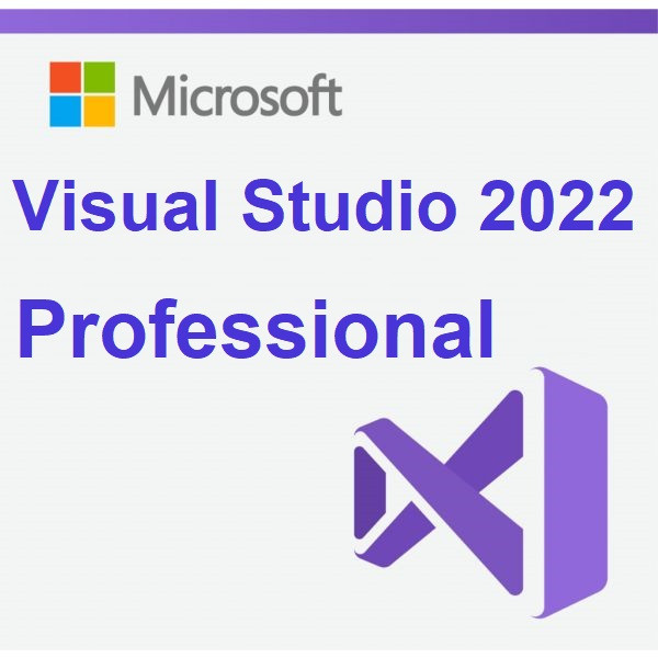 Visual studio 2022 pro