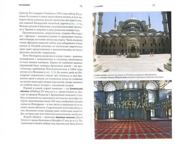 Купить Александр Туров Стамбул. Путеводитель «Афиши», цена 622 грн ...