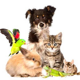 Столярная мастерская "IZDEREVA" - Столярные изделия для дома и сада в ...