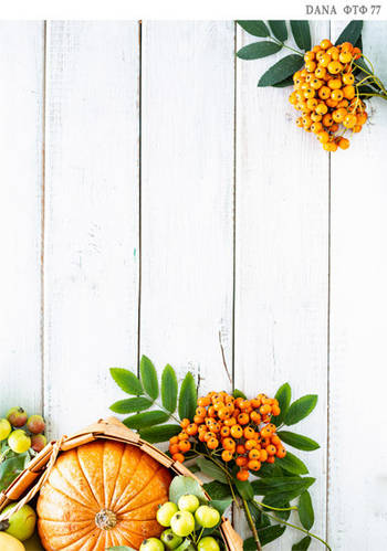 Купить ФОТО-ФОН, цена 110 ₴ — Prom.ua (ID#1475939707)