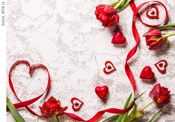 Купить ФОТО-ФОН, цена 110 ₴ — Prom.ua (ID#1475939611)