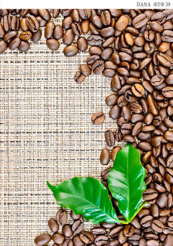 Купить ФОТО-ФОН, цена 165 ₴ — Prom.ua (ID#1515471906)