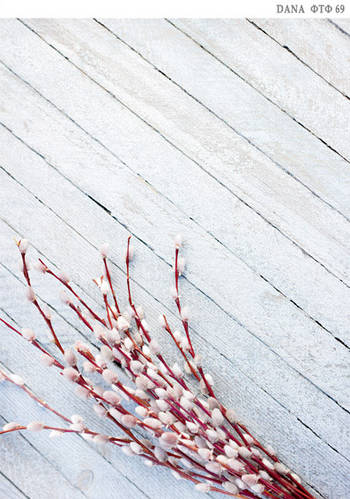 Купить ФОТО-ФОН, цена 165 ₴ — Prom.ua (ID#1515471940)