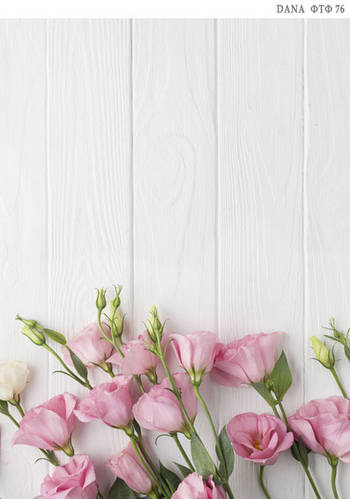 ФОТО-ФОН (ID#1515471947), цена: 165 ₴, купить на Prom.ua