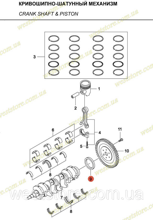 Купить Сальник коленвала задний большой Ланос Авео Lanos Aveo (80х98х10 ...