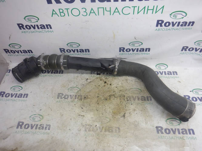 Патрубок интеркулера (1,5 DCI) Renault MEGANE 3 2013-2015 (Рено Меган 3 ...