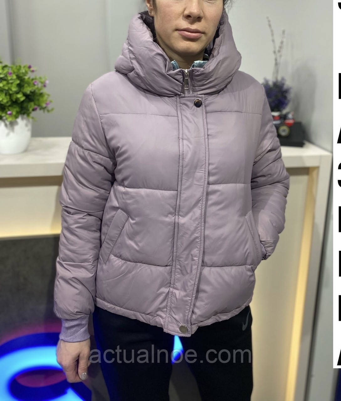 Куртка женская демисезонная короткая однотонная лавандовая: продажа ...