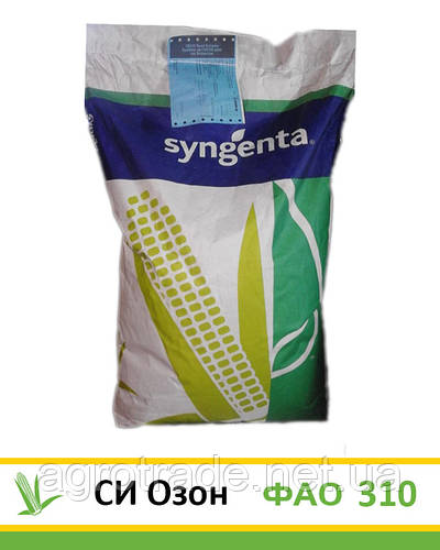 СИ Озон, ФАО 310, семена кукурузы Syngenta (Сингента) (ID#1576452530 ...