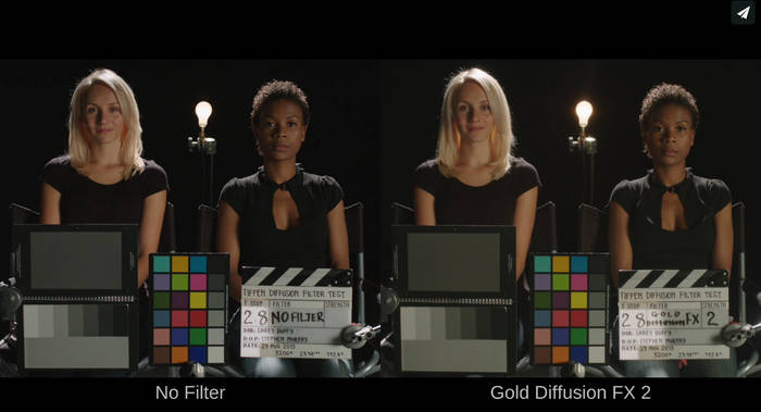 Купить Фильтр Gold Diffusion FX2, цена 2240 ₴ — Prom.ua (ID#252790158)