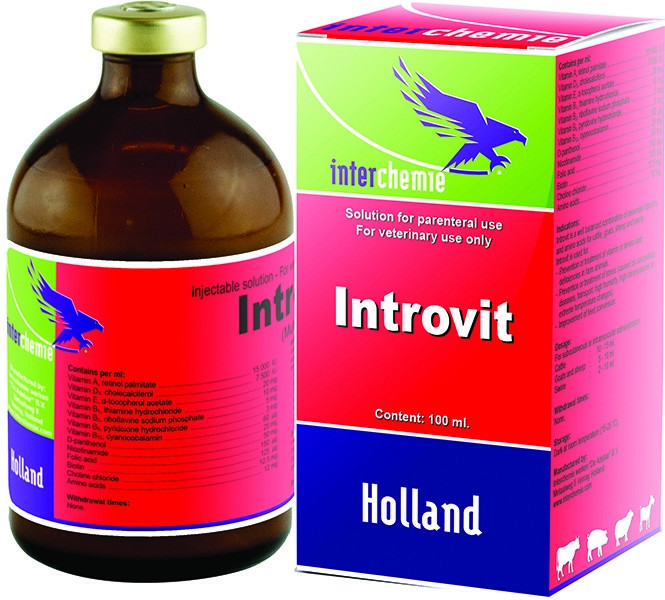 Інтровіт (Introvit), 100 мл, Interchemie, ціна: 180 ₴, купити на Prom.ua