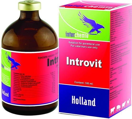 Інтровіт (Introvit), 100 мл, Interchemie, ціна: 180 ₴, купити на Prom.ua