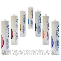 Купити Fuchs Cassida Grease RLS 2, ціна 1200 ₴ - Prom.ua (ID# 253969133)