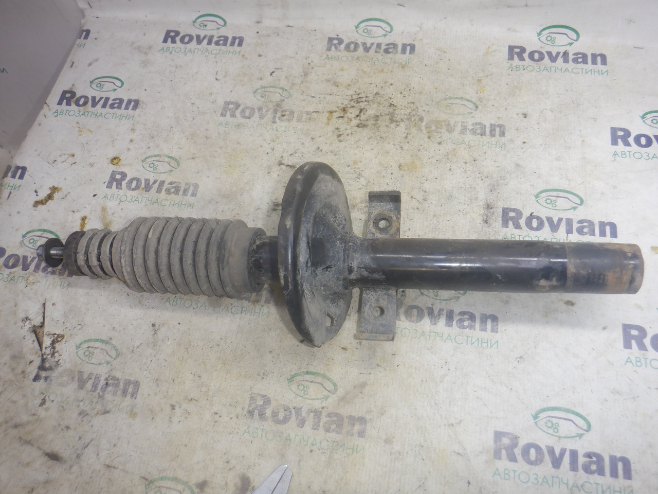 Стойка Передняя (амортизатор) Renault SCENIC 2 2003-2006 (Рено Сценик 2 ...