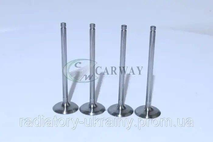 Купить Клапаны (впуск) Lanos 1.6, Nubira, Tacuma, Nexia 1.5-1.6 (DOCH ...