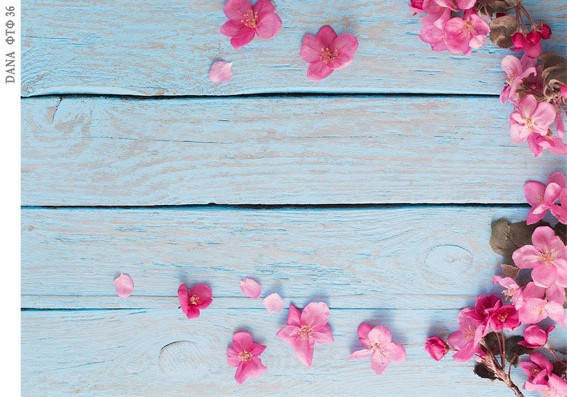 Купить ФОТО-ФОН, цена 165 грн — Prom.ua (ID#1515471903)