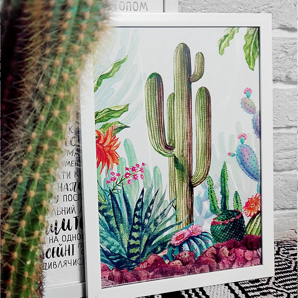 Купить Постер у рамці А3 Кактус цена 300 ₴ — Prom Ua Id 1598333415