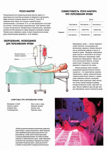 Купити Резус-фактор постер, ціна 29 ₴ - Prom.ua (ID# 1601983136)