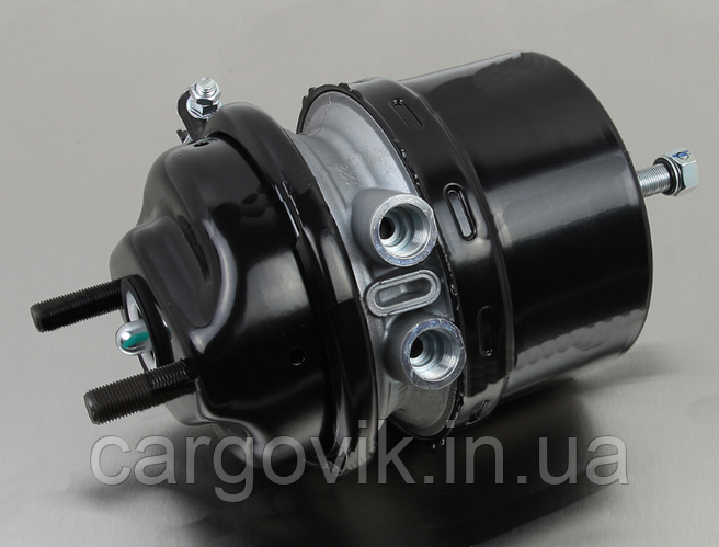 Купити Енергоакумулятор Тип 24/24 D/P диск, M22x1.5, BPW, DAF, IVECO ...