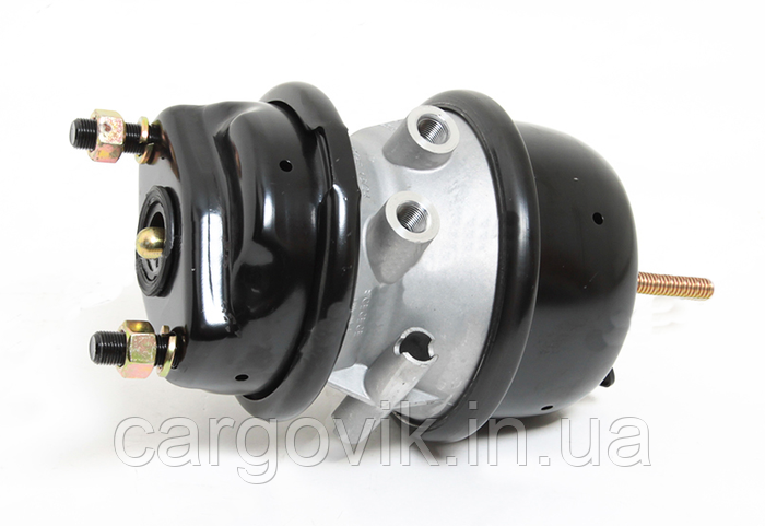 Купити Енергоакумулятор Тип 16/24 D/D, диск M16x1.5, BPW, SAF, SCHMITZ ...