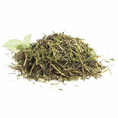 Ісоп трава супер якість 50 гр. (ID#1610352988), ціна: 35 ₴, купити на ...