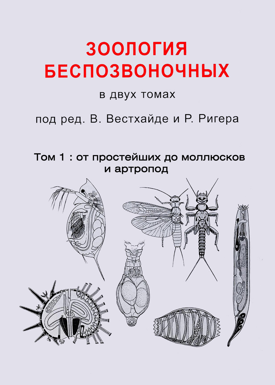 Зоология Беспозвоночных. Том 1. От Простейших до Моллюсков и Артропод ...