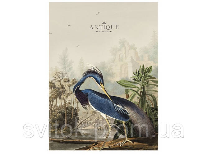 Купити Зошит А4 Школярик 80арк. лінія Student Уф лак 5079L, ціна 65.55 ...