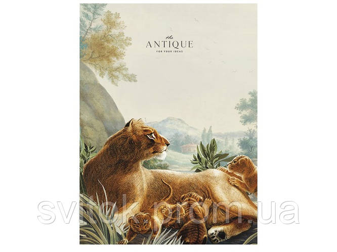 Купити Зошит А4 Школярик 80арк. лінія Student Уф лак 5079L, ціна 65.55 ...