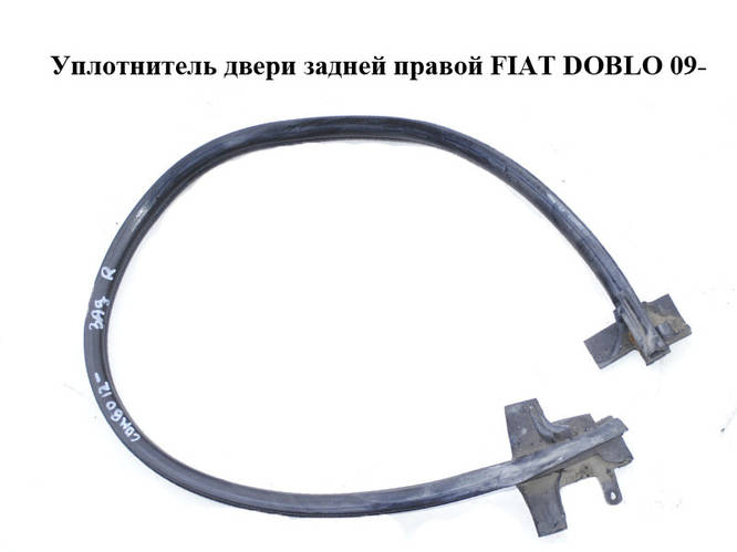Уплотнитель двери задней правой FIAT DOBLO 09- (ФИАТ ДОБЛО) (51943952 ...