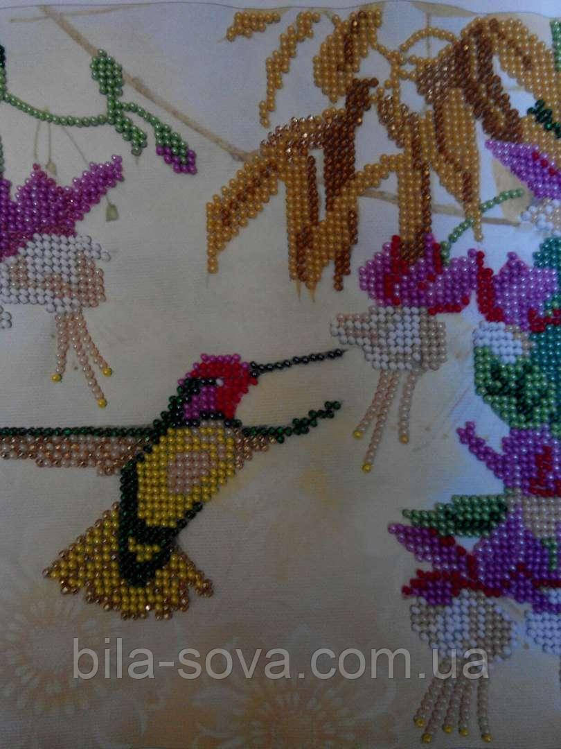 Купить Схема для вишивання бісером на натуральному художньому холсті Колібрі цена 72 ₴ — Prom