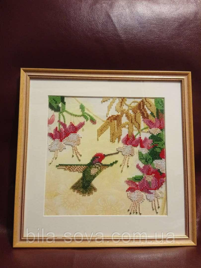 Купить Схема для вишивання бісером на натуральному художньому холсті Колібрі цена 72 ₴ — Prom