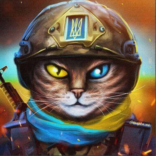 Купить Картина Котик защитник ©Марианна Пащук цена 382 грн — Prom Ua Id 1636339049