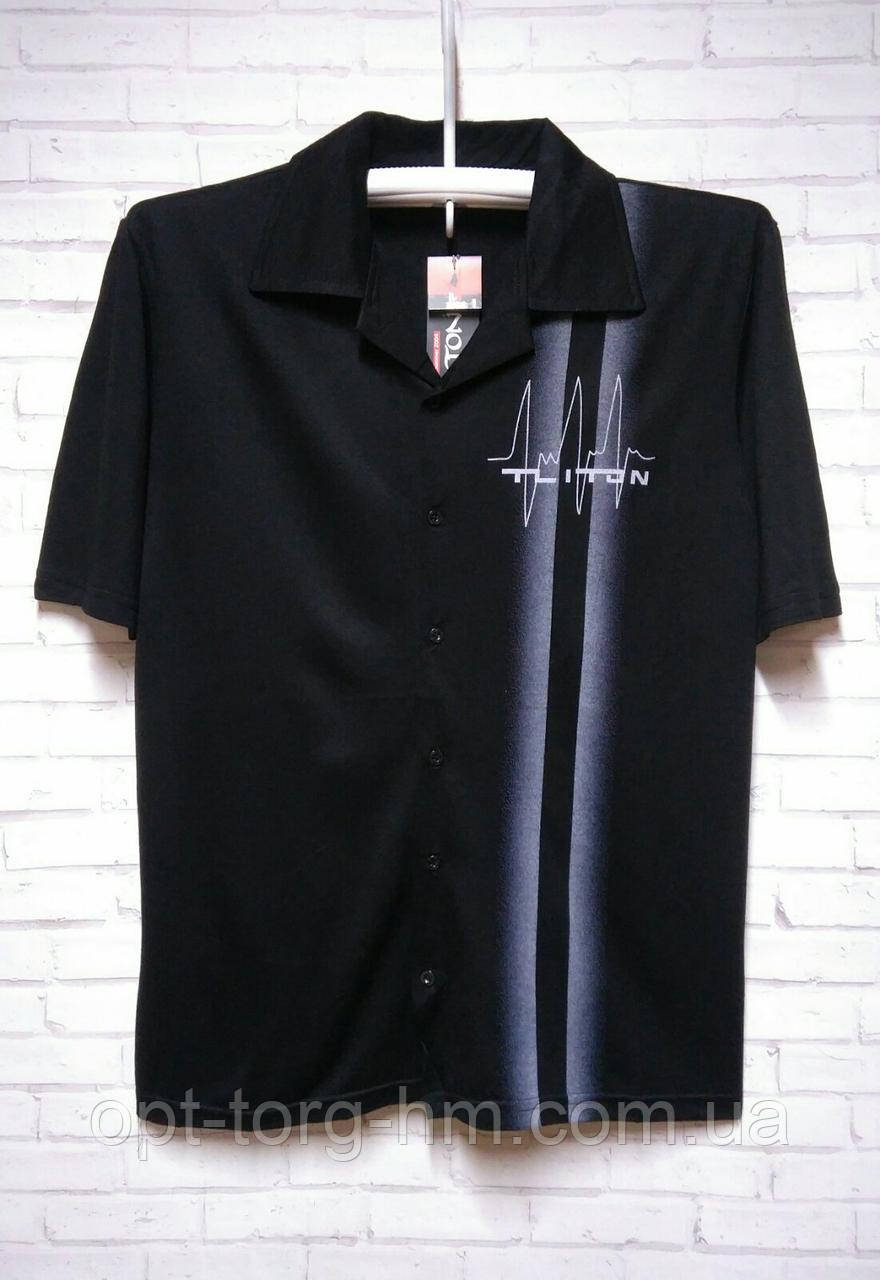 Купити Чоловіча футболка у Хмельницькому від компанії "Інтернет-магазин "Opt-torg-hm.com.ua ...