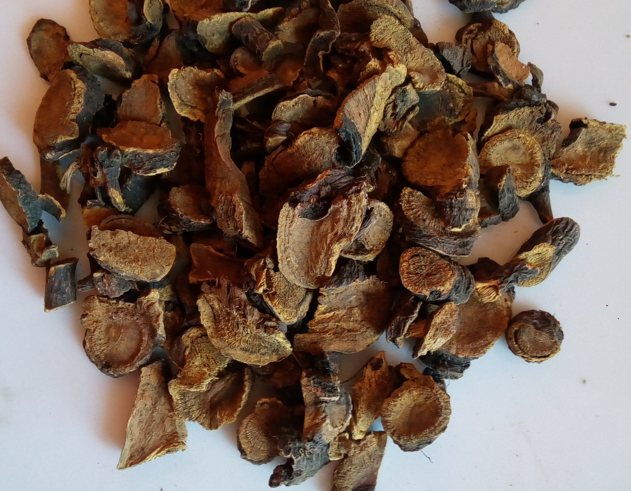 Конский щавель (корень), 500г.: продажа, цена в Львовской области ...